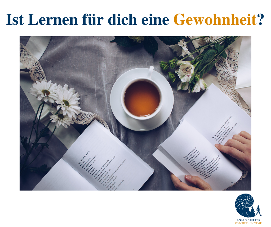 Lernen zur Gewohnheit machen - Die Kraft von Gewohnheiten - Tanja Schultzki